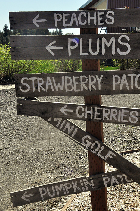 Craft beverages abound in bucolic Green Bluff - Edible Seattle